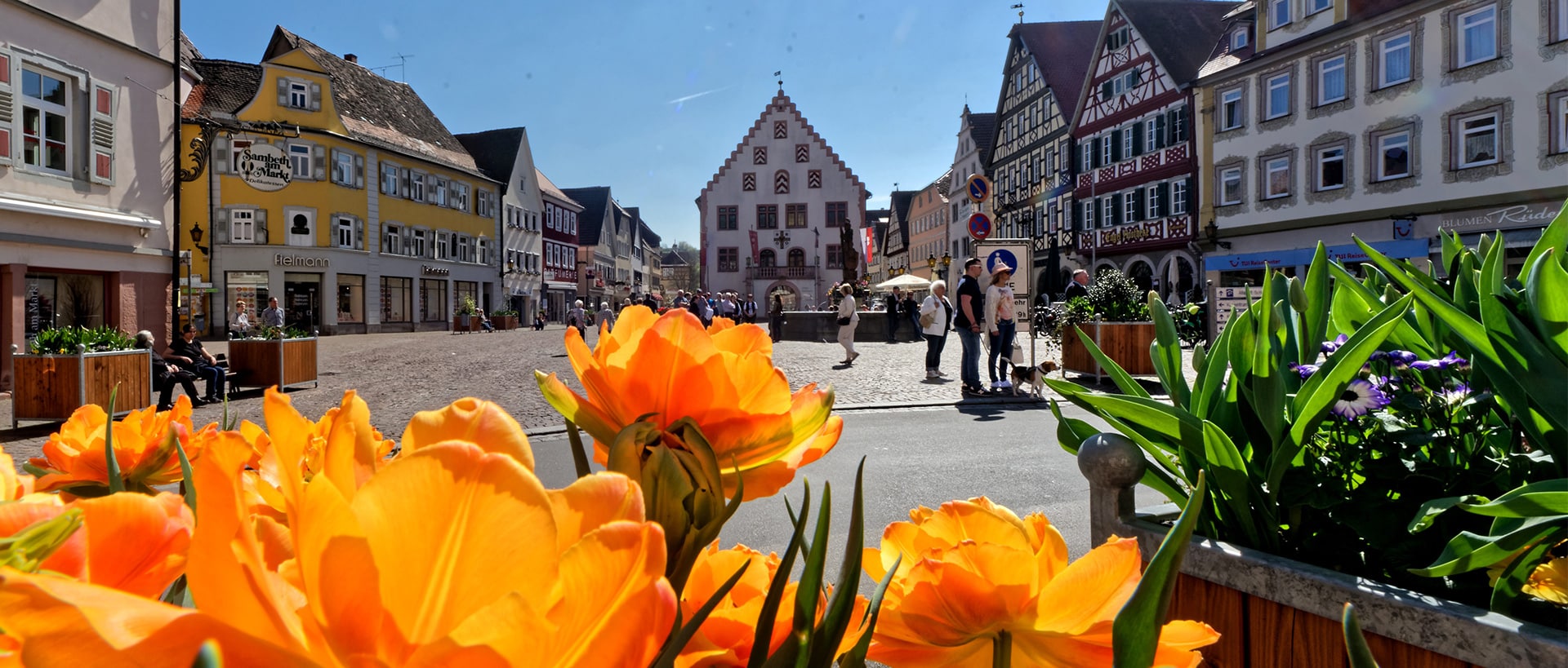 Städtetrip nach Bad Mergentheim in Baden-Württemberg - Bordatlas